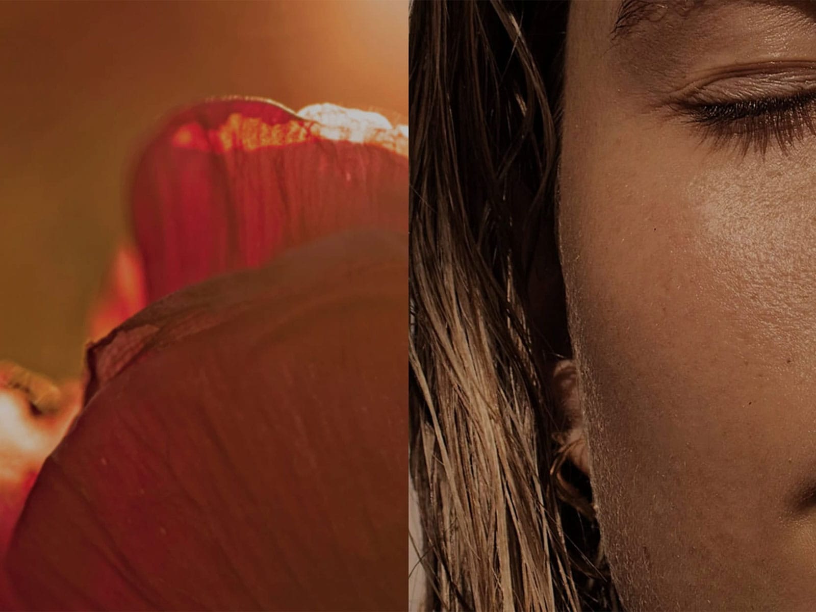 A Wellness Transformation for ZENTS using Shopify Plus | Sweden Unlimited